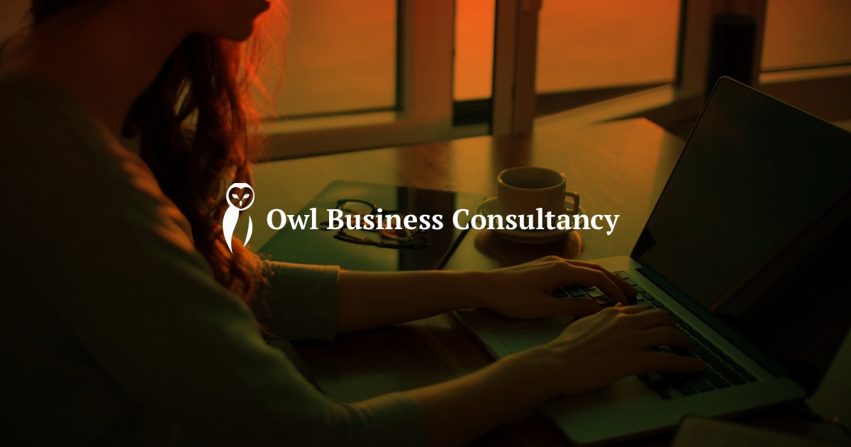 Owl Business Consultancy